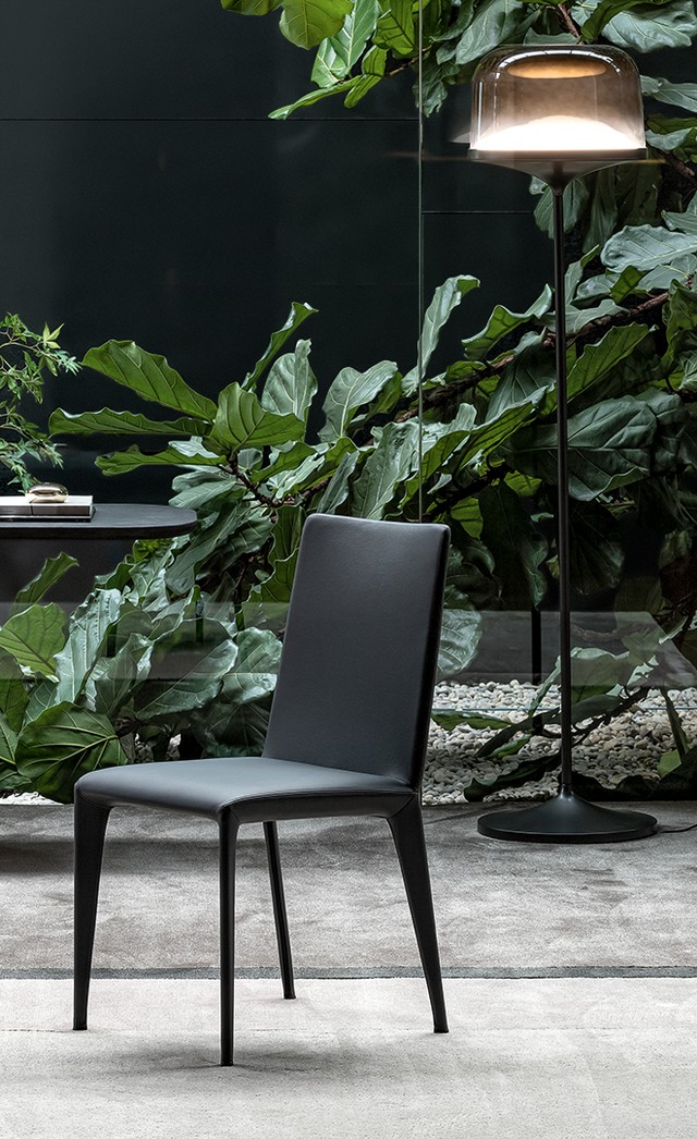 Filly, Filly up, Filly large, Filly large up, Miss Filly, Miss Filly up ...